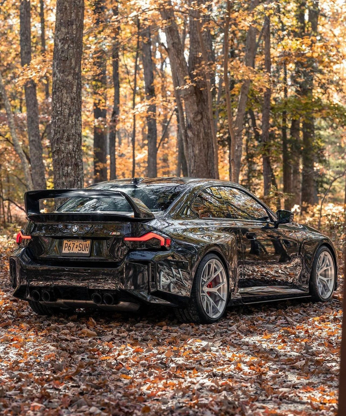 BMW G87 M2 Carbon Fiber Alpha N Style Wing | Eurobahndynamics