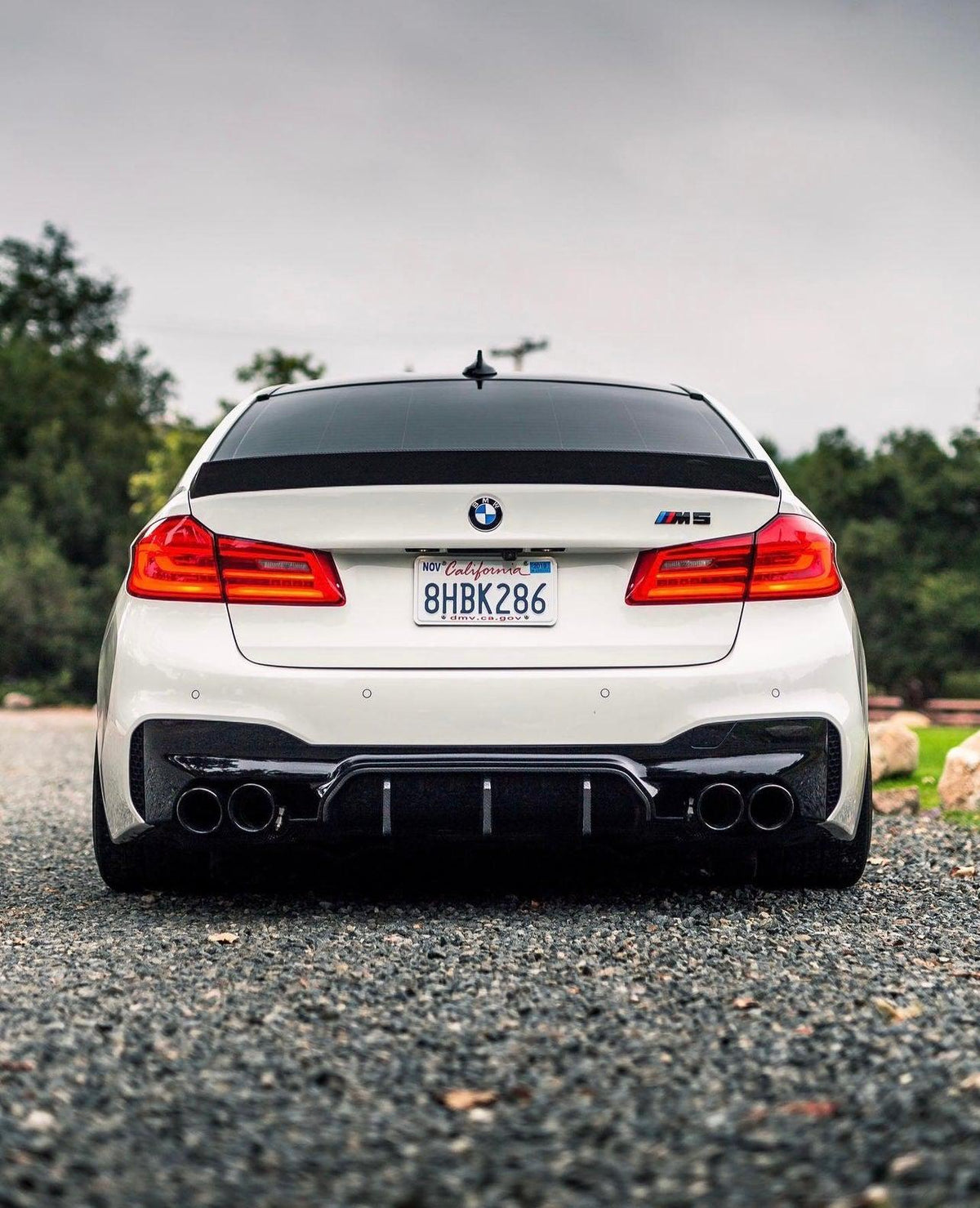 BMW F90 M5 Carbon Fiber Spoiler | Eurobahndynamics