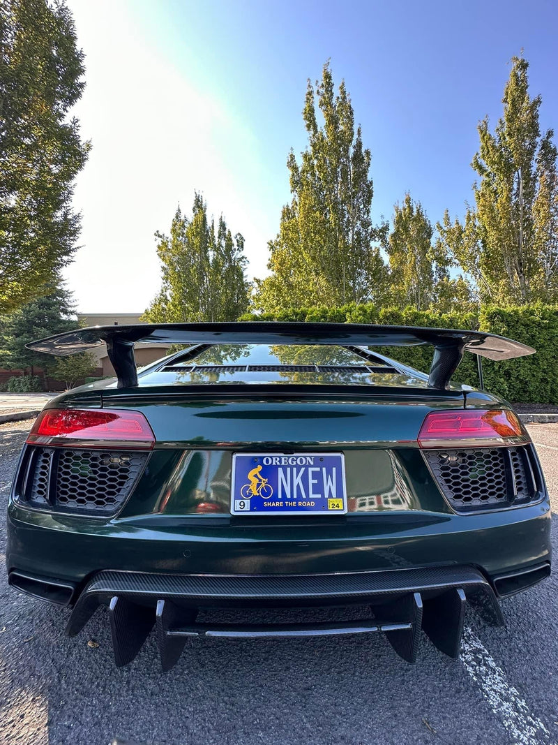Audi R8 Carbon Fiber Artisan Rear Diffuser | Eurobahndynamics