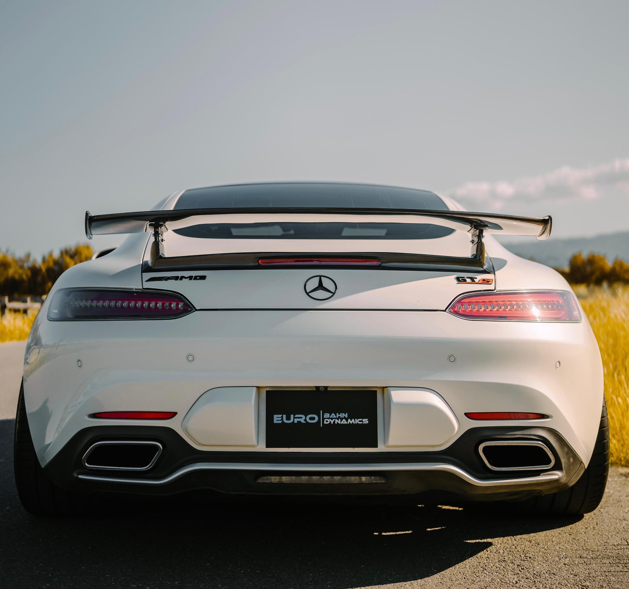 Mercedes AMG GT/GTS/GTC/GTR Carbon Fiber GTR Wing With Base Panel